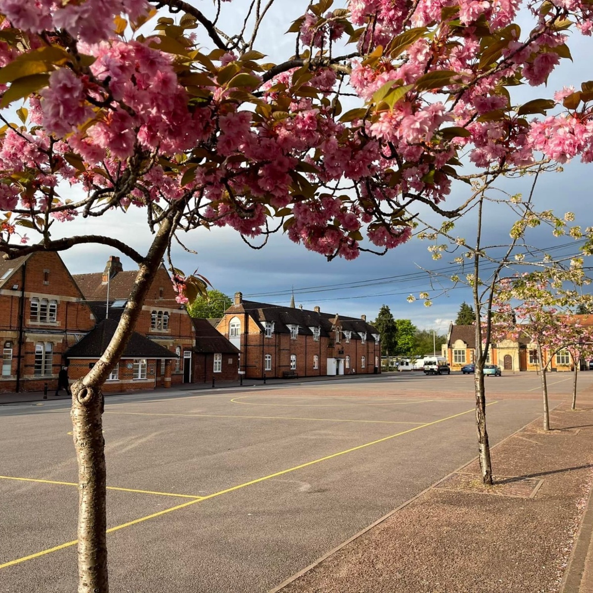 Gordon's School - welcome back!